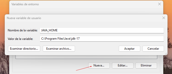 Instalar Java y configurar el entorno – Proyectos IT